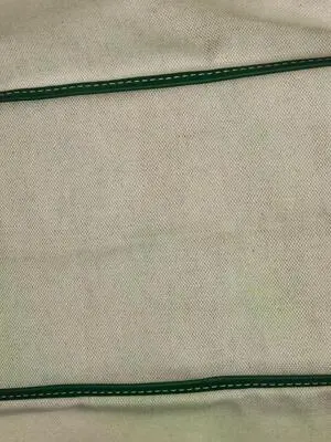Goyard Saint Louis Pm Tote Bag