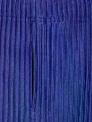 Issey Miyake Pleated Trousers