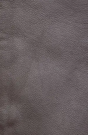 REFORMATION Veda Harrison Leather Jacket