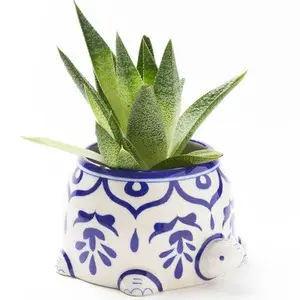 MATR BOOMIE Lalita Mama Turtle Succulent Planter