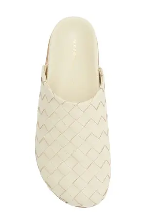Intentionally Blank Aggie Clog