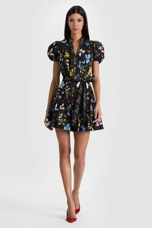 Alice + Olivia Shirt Dress Day Dresses