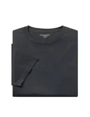 CHARLES TYRWHITT Cotton Crew Neck T-shirt