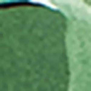 Harrods Jointed Bear Keyring - Green