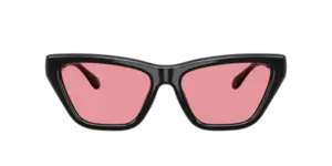 COACH Cat-eye Sunglasses - Black