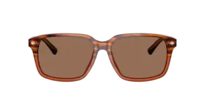 Brooks Brothers Rectangular Sunglasses With Acetate Temples - Brown