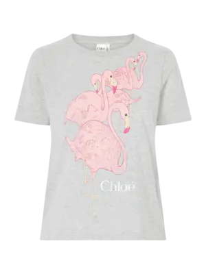 Chloé Printed Cotton-jersey T-shirt - Gray