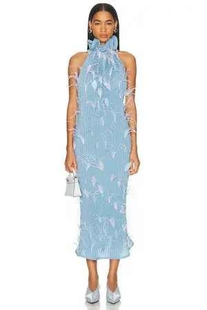Rowen Rose Button Detailed Day Dresses