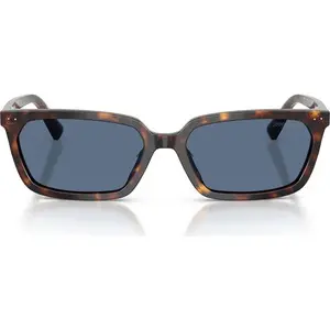 JIMMY CHOO 55mm Rectangular Sunglasses - Havana/blue