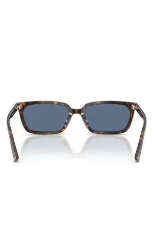 JIMMY CHOO 55mm Rectangular Sunglasses - Havana/blue