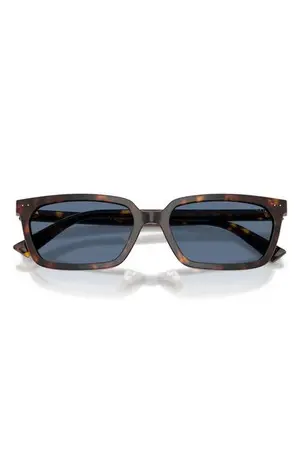 JIMMY CHOO 55mm Rectangular Sunglasses - Havana/blue