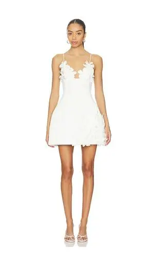 Bronx and Banco Floral Mini Dresses