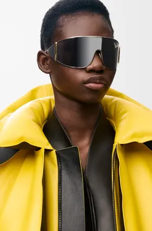 Loewe Speed Shield Sunglasses Silver/gold
