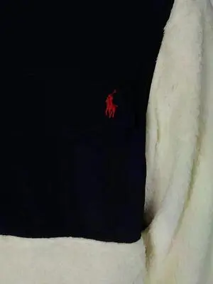 Polo Ralph Lauren Logo Embroidered Hoodie