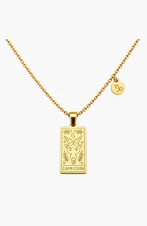 HUMANIST BEAUTY Zodiac Constellation Pendant Necklace - Capricorn