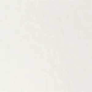 Bottega Veneta Nappa Leather Faces Belt - White