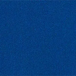 Loewe Sleeveless Rollneck Top - Blue