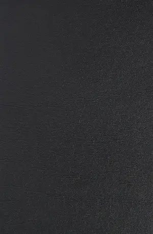 Max Mara Square Buckle Leather Belt - Black
