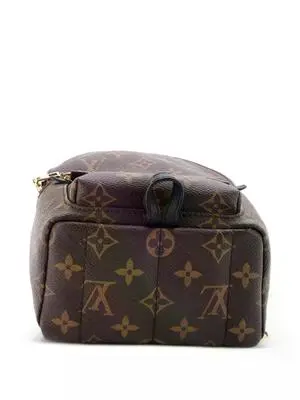 LOUIS VUITTON Palm Springs Monogram Canvas Mini Backpack - Brown