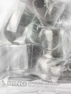 KAWS Passing Through Companion