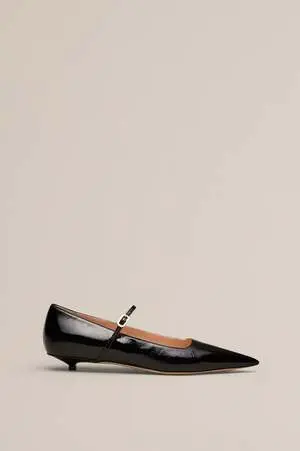 Scanlan Theodore Pointed Ballerina 2.5