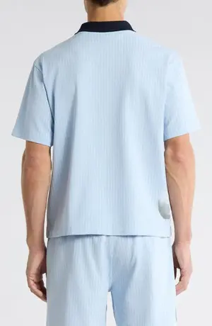 PLEASURES Pet Pinstripe Graphic Cotton Polo