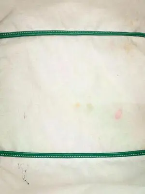 Goyard Saint Louis Gm Tote Bag - Green