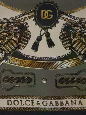 Dolce & Gabbana Rope-print Silk Scarf