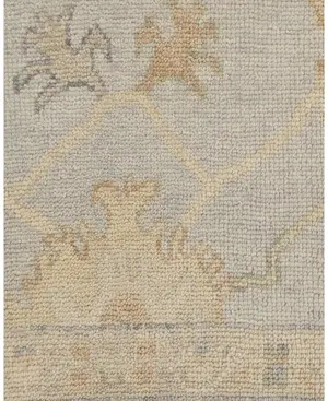 TIMELESS RUG DESIGNS Edinburgh S3415 5'0x8'0 Area Rug