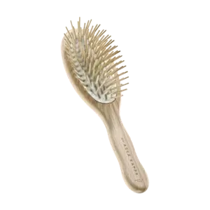 ACCA KAPPA Natura Oval Brush Wooden Pins - One-color