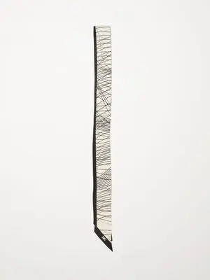 Elisabetta Franchi Neck Scarf - Black