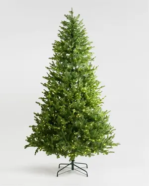 Quince Fraser Fir Christmas Tree: Lit - Forest Green