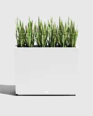Quince Veradek Block Series All Weather Rectangular Planter - White