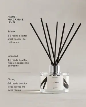 Quince Les Baies Reed Diffuser, Reed Diffuser Oil