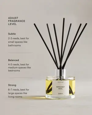 Quince Bergamot Basil Reed Diffuser, Reed Diffuser Oil