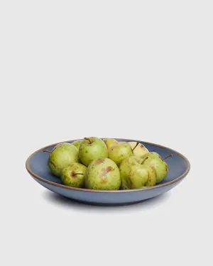 Quince East Fork Coupe Plate, Set Of 4 - Blue Ridge