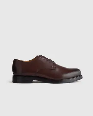 Quince Calfskin Leather Derby - Brunette
