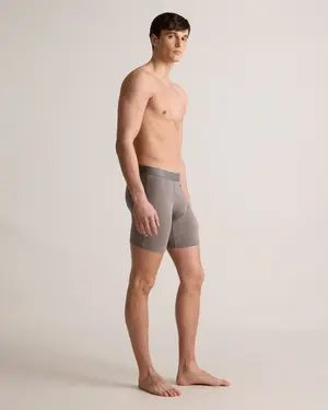 Quince 6 Boxer Brief - Grey