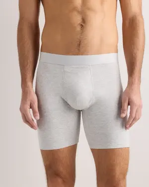 Quince Men's 6'' Boxer Brief Light Grey