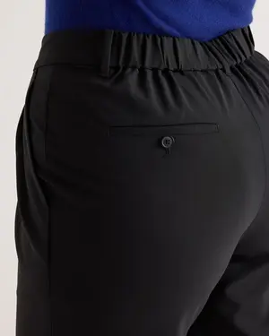 Quince Italian Wool Pleated Trousers