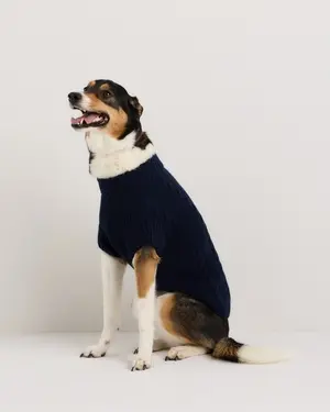 Quince Cashmere Cable Knit Dog Sweater - True Navy
