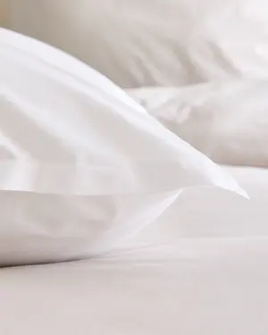 Quince Organic Brushed Cotton Sham - White