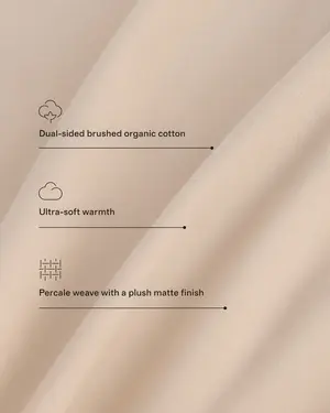 Quince Organic Brushed Cotton Sham - White
