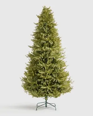 Quince Spruce Artificial Christmas Tree: Unlit - Forest Green