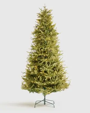 Quince Spruce Artificial Christmas Tree: Lit - Forest Green