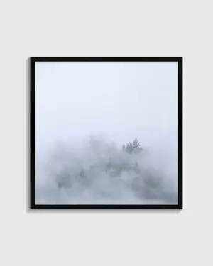 Quince Above The Mist Laura Zimmerman, Wood Frame - Black