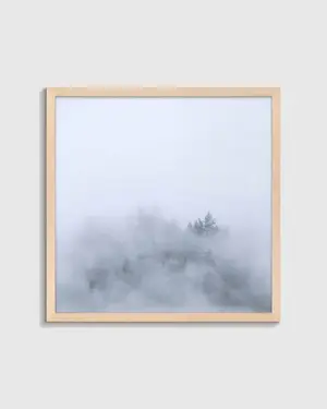 Quince Above The Mist Laura Zimmerman, Wood Frame - Maple