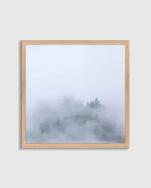 Quince Above The Mist Laura Zimmerman, Wood Frame - Oak