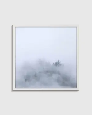 Quince Above The Mist Laura Zimmerman, Wood Frame - White