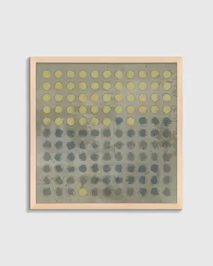 Quince Circling The Square 1 Jacques Pilon, Wood Frame - Maple